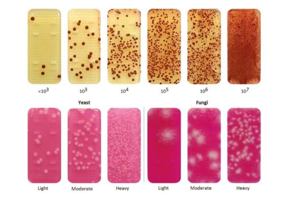 Dipslide Test Results Example | Pennine Lubricants